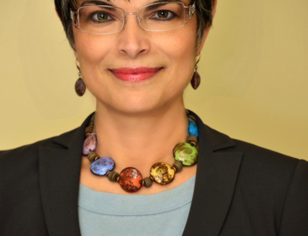 Laurel Lynch - CEO of HOPE Family Services is the sixth in our series ...